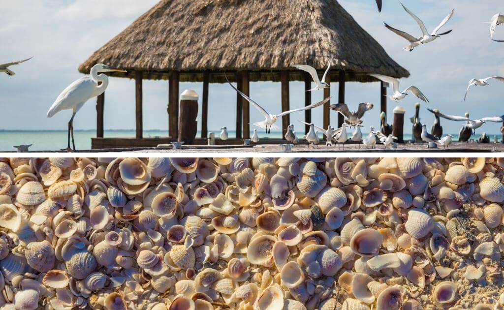 Isla Holbox, Mexiko: Top 10 Sehenswürdigkeiten & Tipps