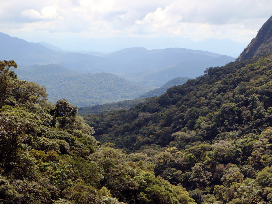 Serra Verde Express | Eine traumhafte Zugfahrt von Curitiba nach ...