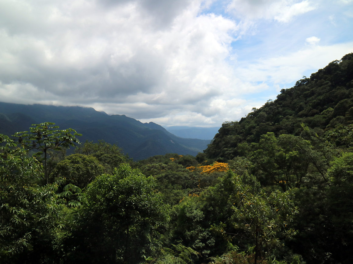 Serra Verde Express | Eine traumhafte Zugfahrt von Curitiba nach ...